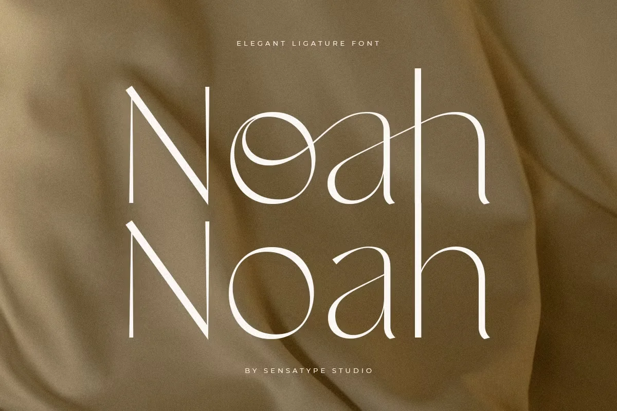 Noah Font Family Free - Download Now